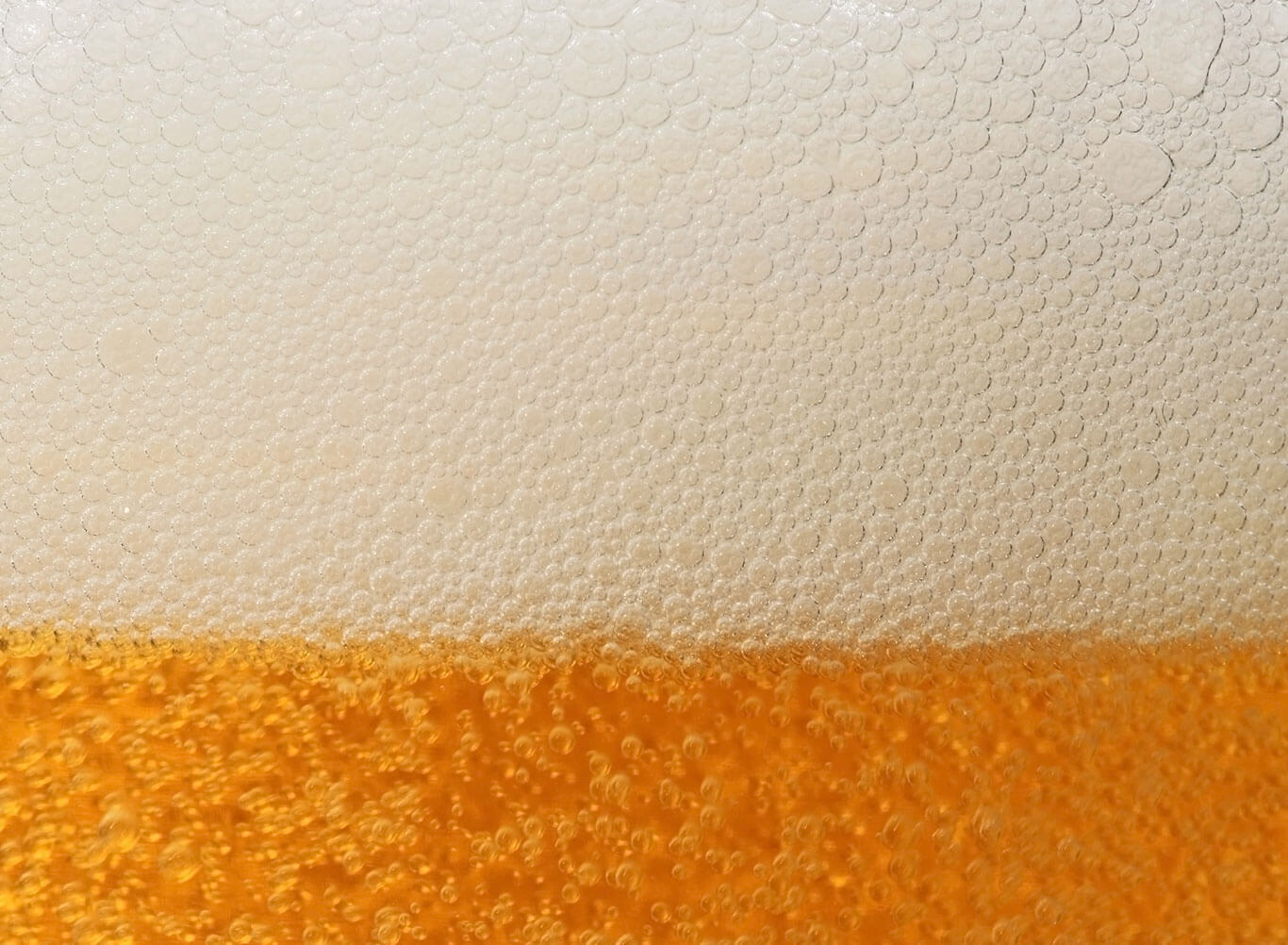 BEER - Federal Bar & Grill